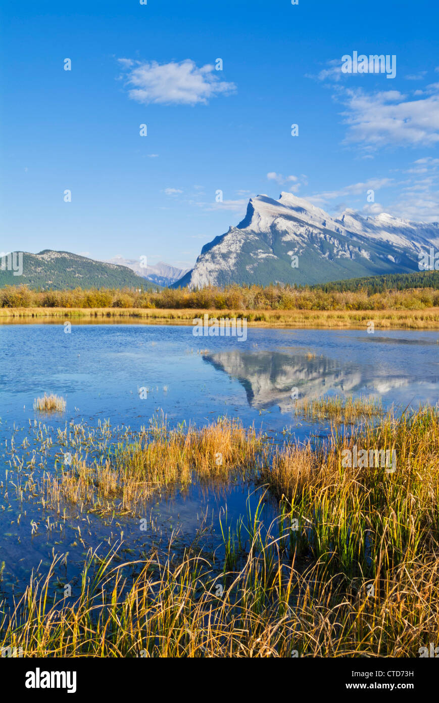 Mount rundle wildlife hi-res stock photography and images - Alamy