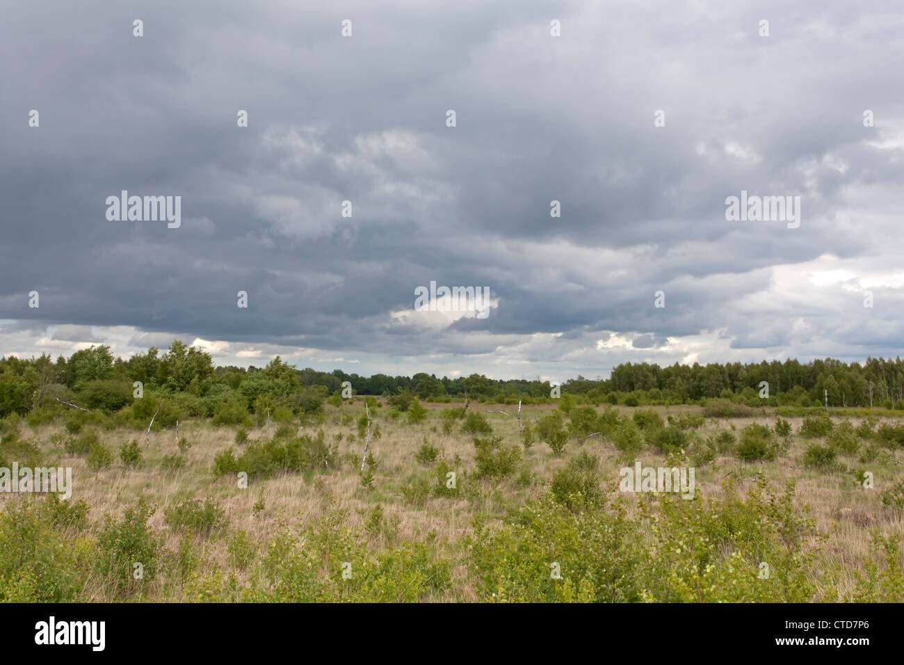 Moor landschaft hi-res stock photography and images - Alamy