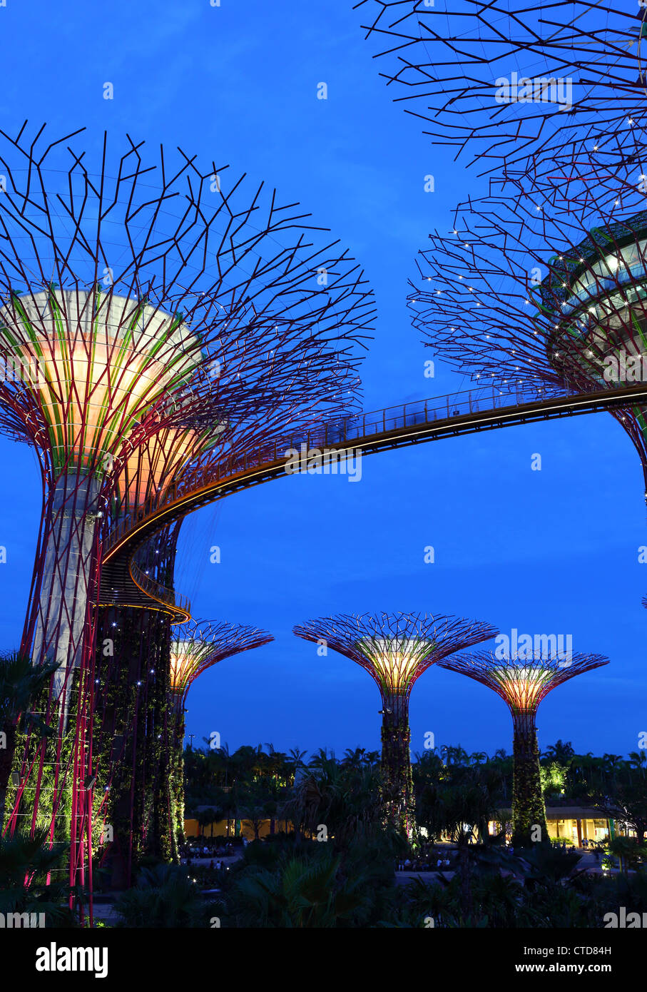 Supertree singapore hi-res stock photography and images - Alamy