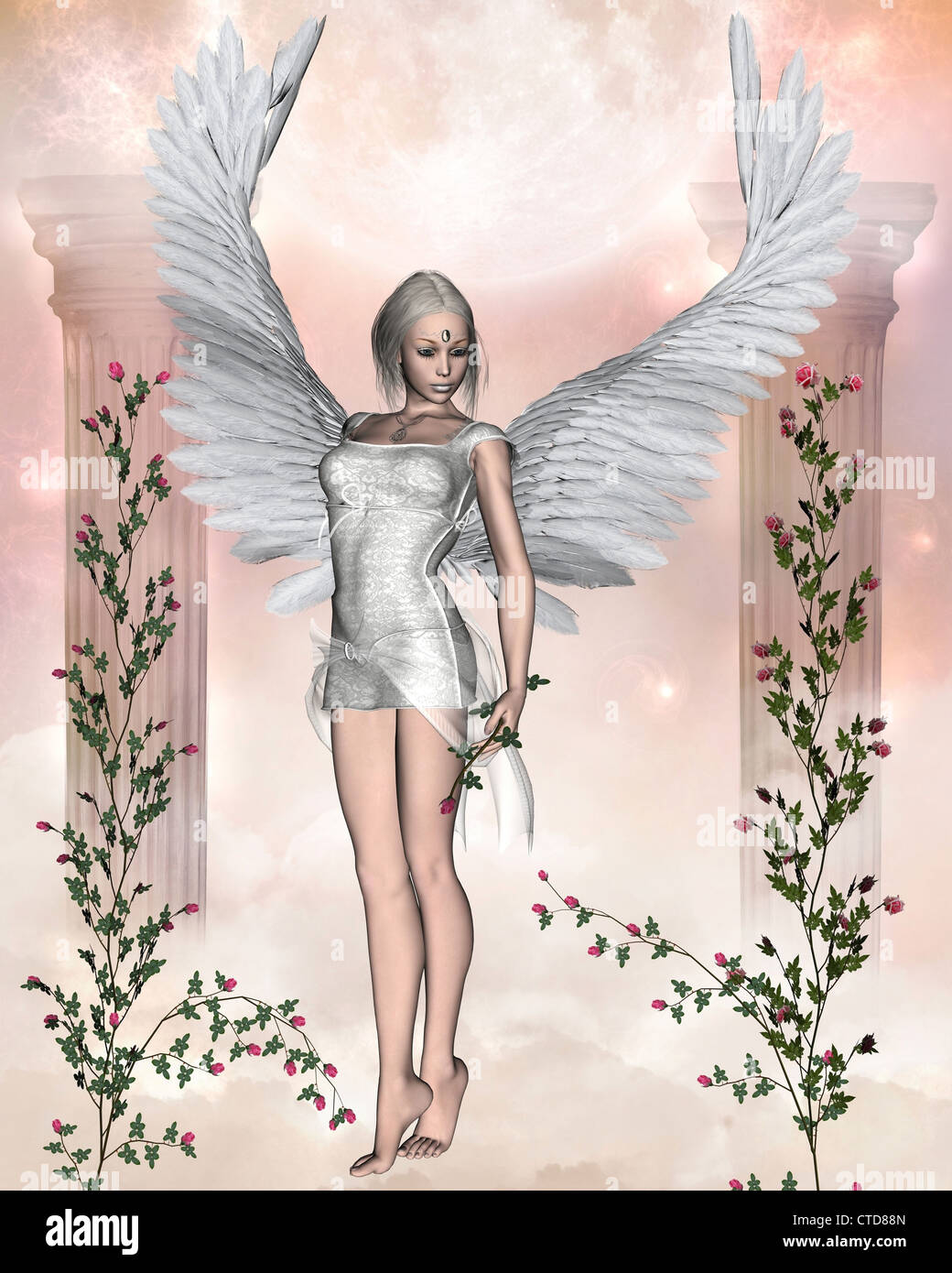 Heavenly roses hi-res stock photography and images - Alamy