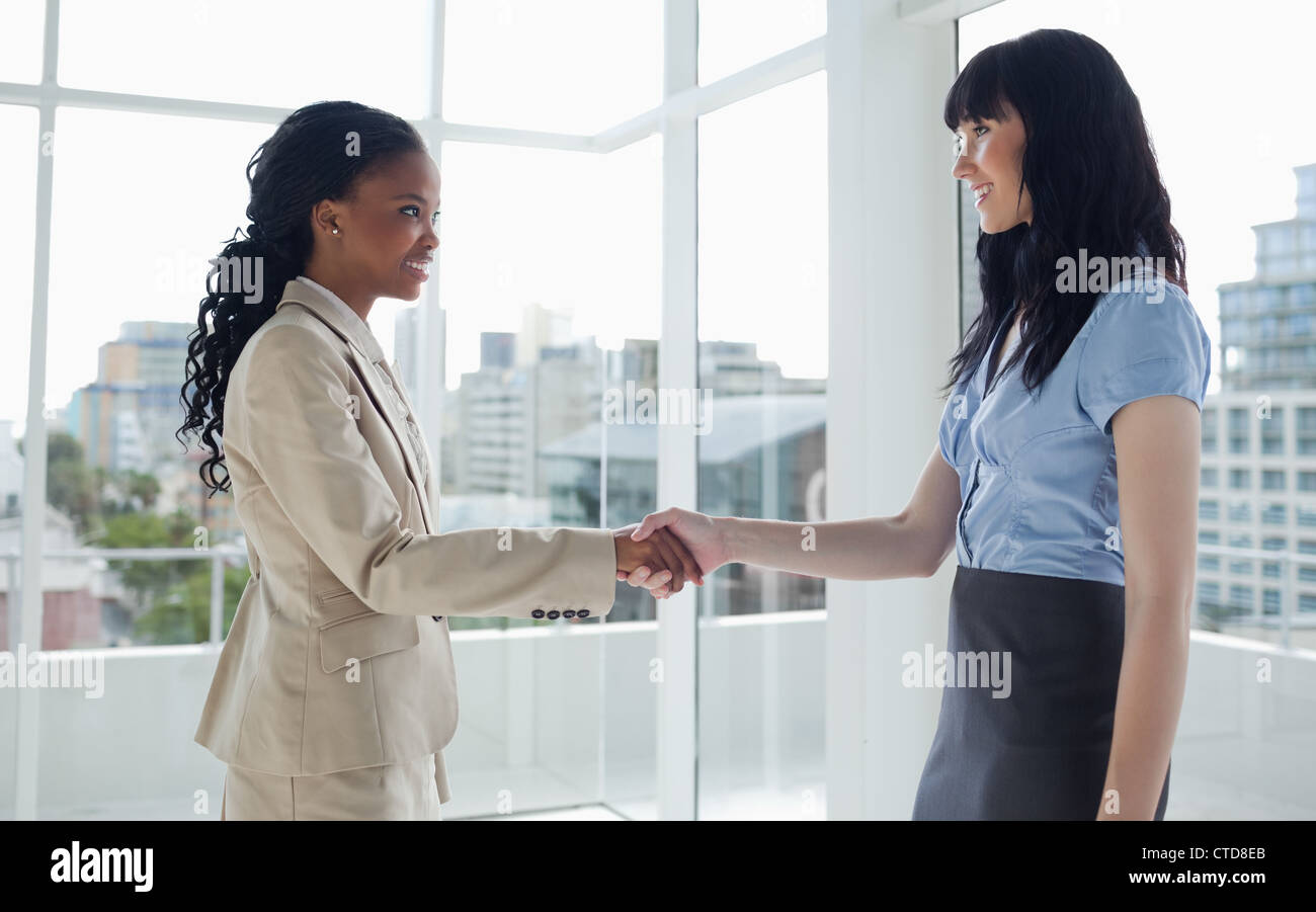 Handshake shaking hands half length smiling hi-res stock photography ...