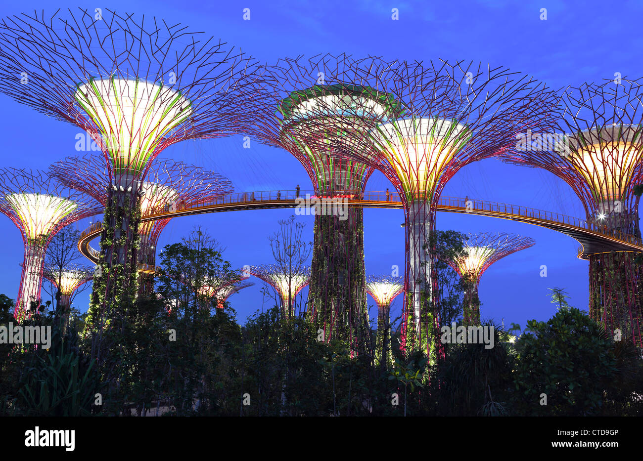 Singapore trees hi-res stock photography and images - Alamy
