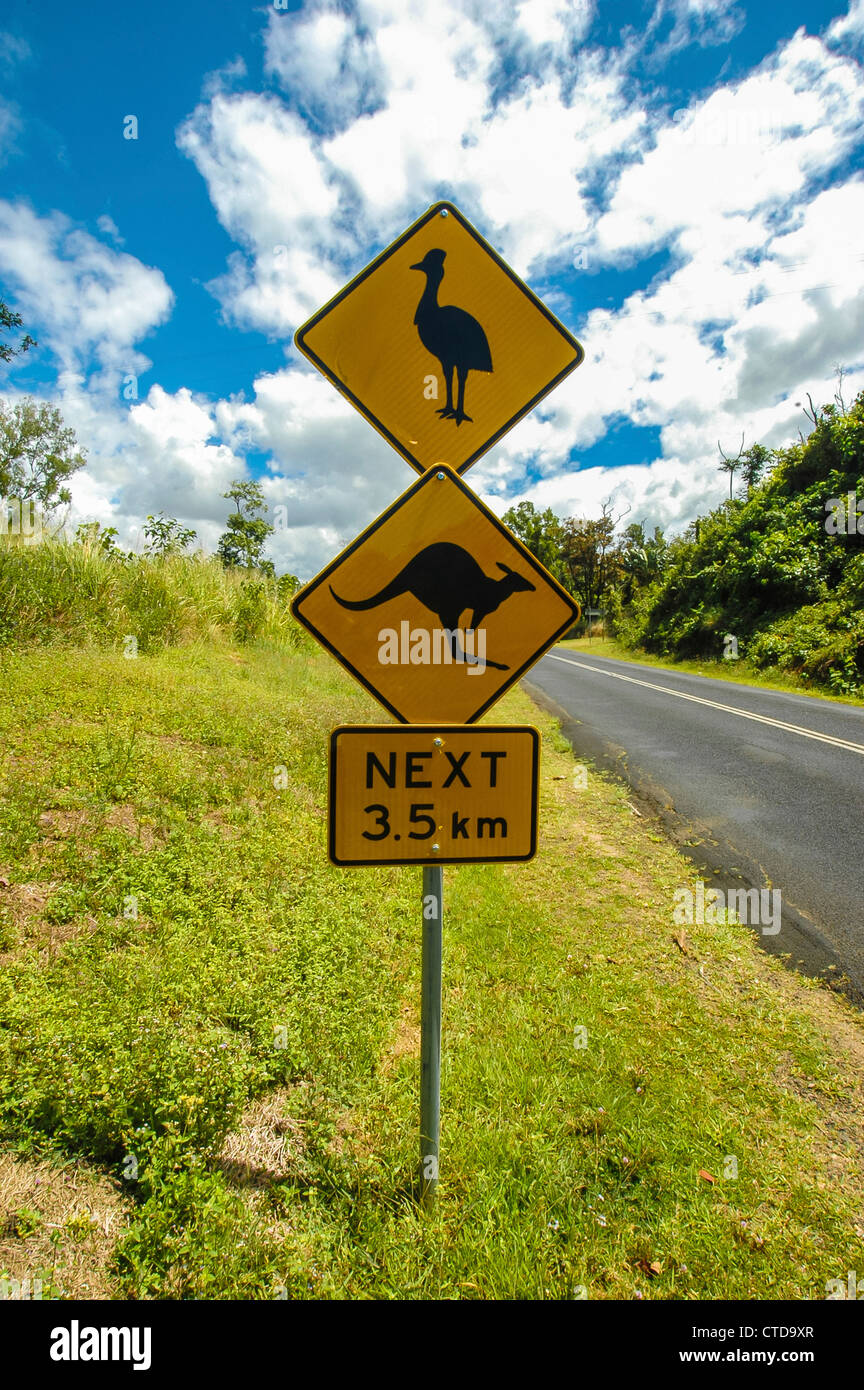 Warning signs (cassowaries, kangaroos) in Australia Stock Photo - Alamy
