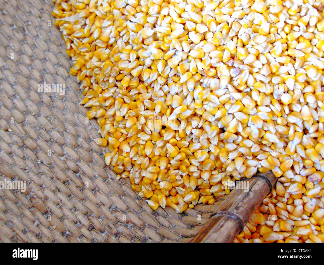 Food maize golden corn hi-res stock photography and images - Alamy