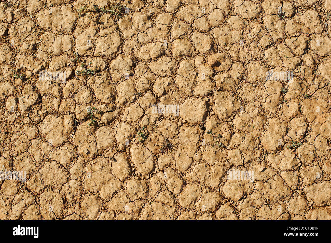 Very dry ground in greek Stock Photo - Alamy