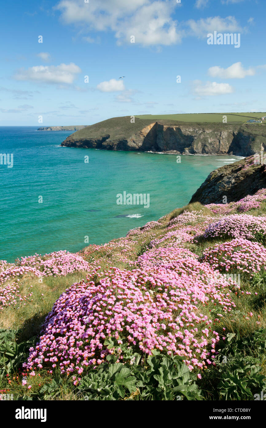 Mawgan Porth; Cornwall; UK Stock Photo - Alamy