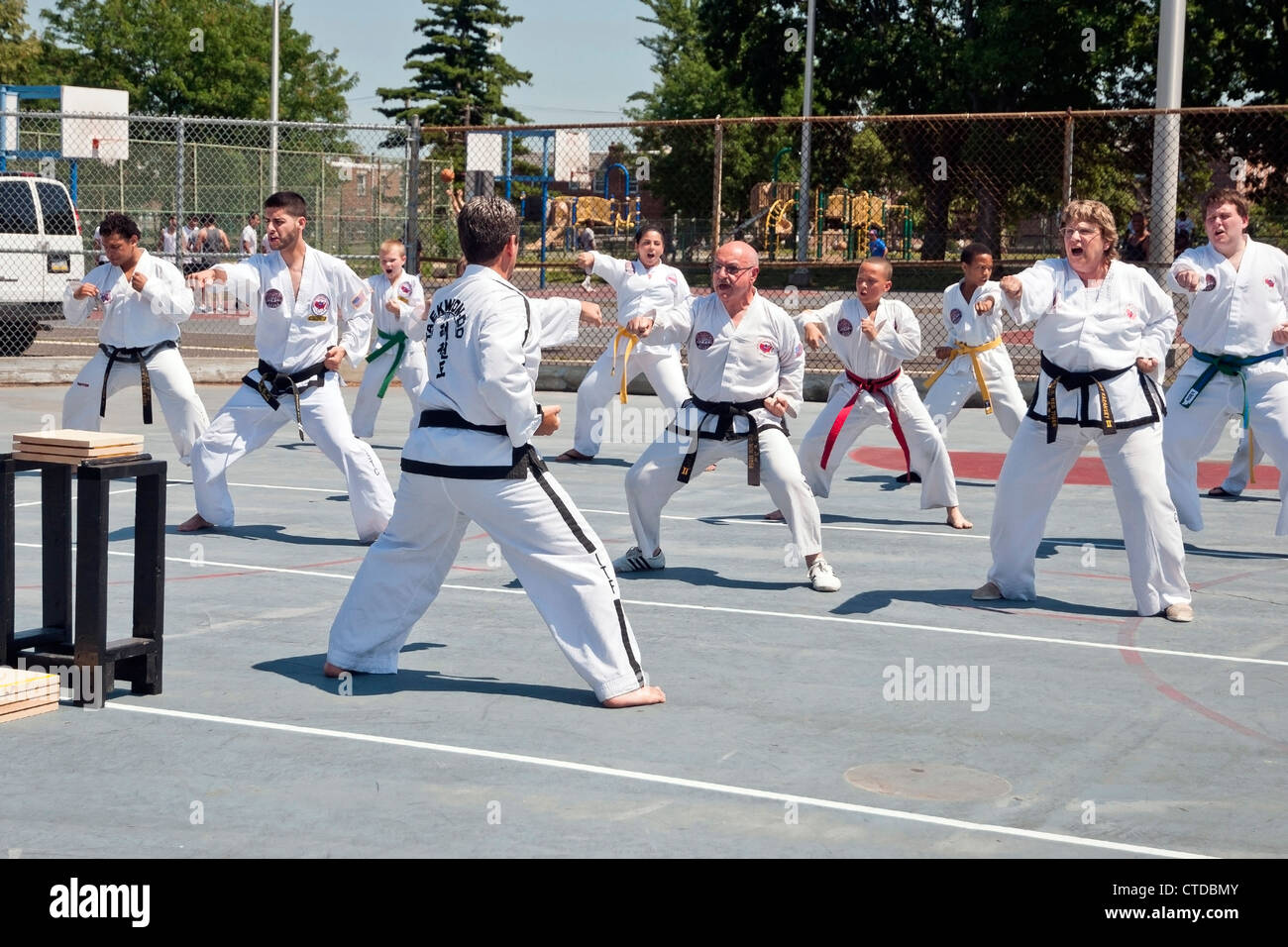 Demonstration performances of section karate at the feast of one of the ...