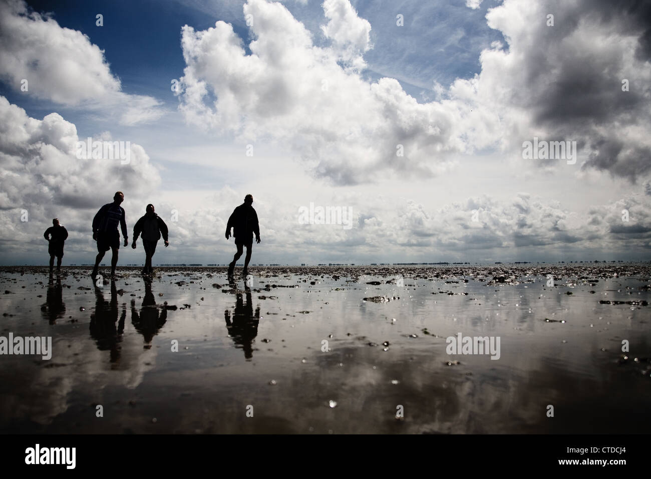 people walking on the sea bottom during a hiking trip on the waddenzee ...