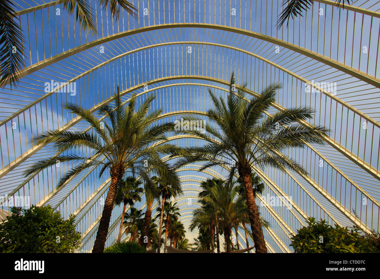 Santiago calatrava lumbracle hi-res stock photography and images - Alamy