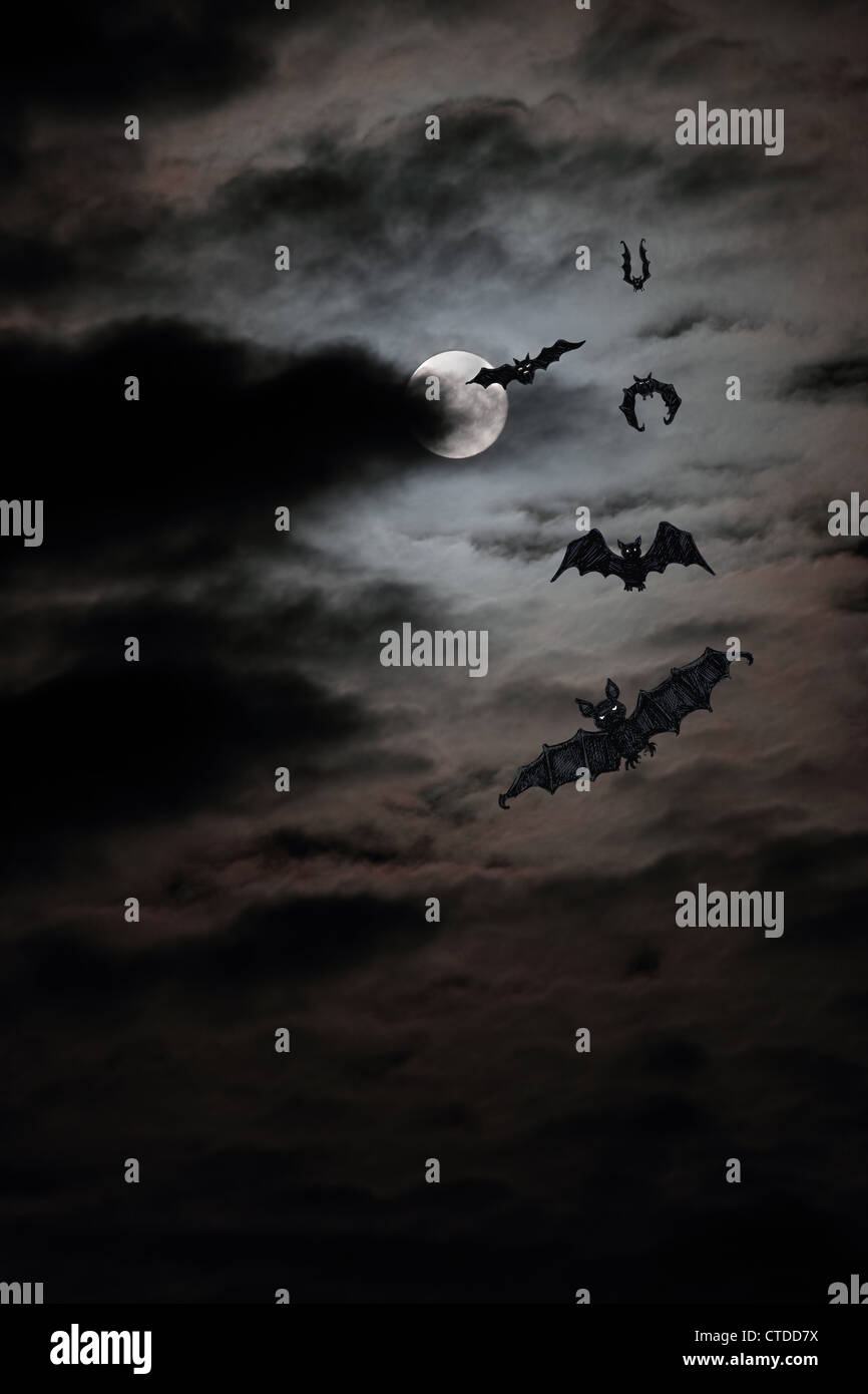 Bat silhouette against moon hi-res stock photography and images - Alamy
