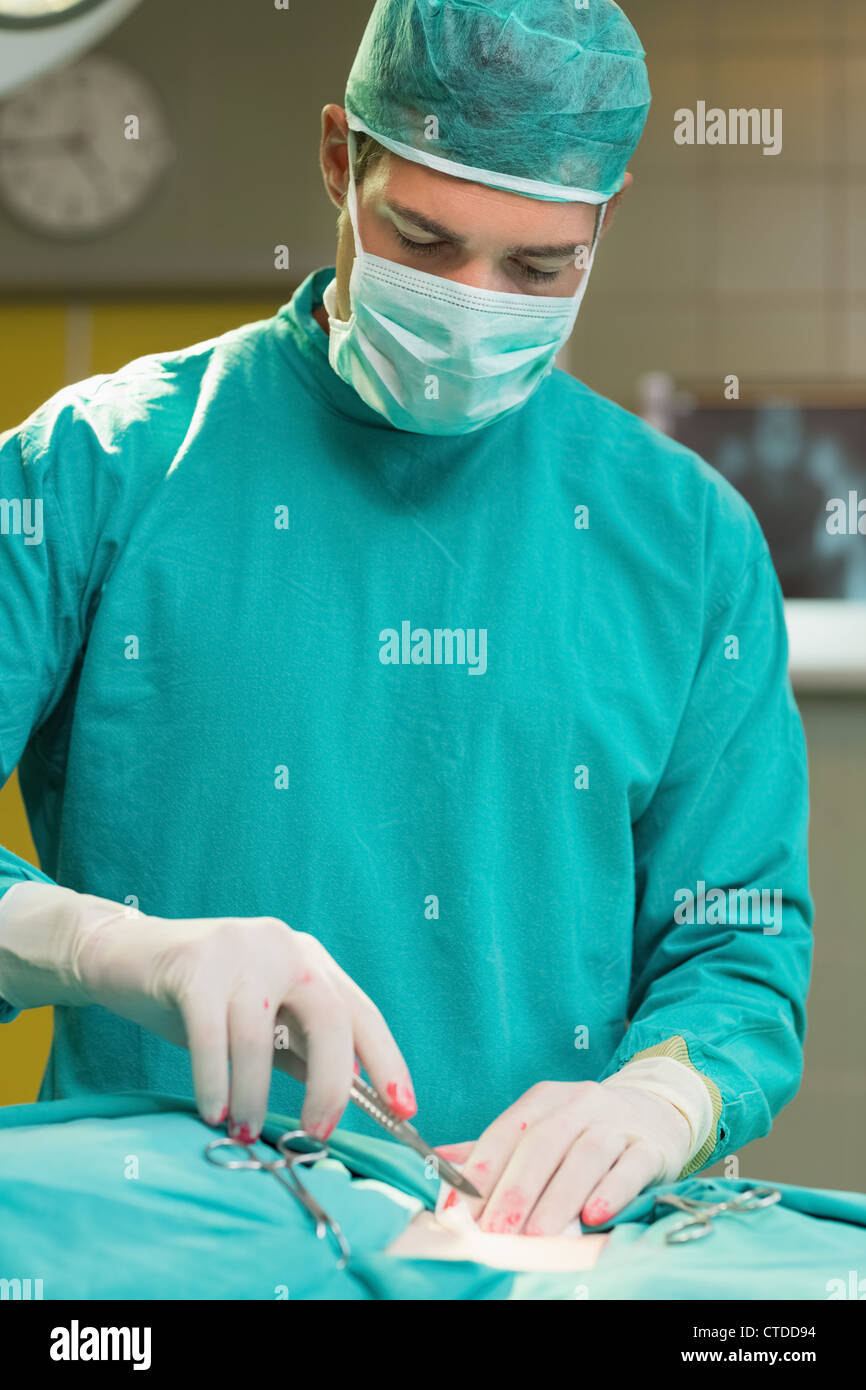 Close up of a surgeon opening a patient stomach Stock Photo - Alamy