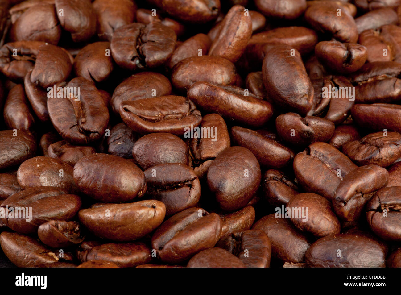 Coffee seeds laid out together Stock Photo - Alamy