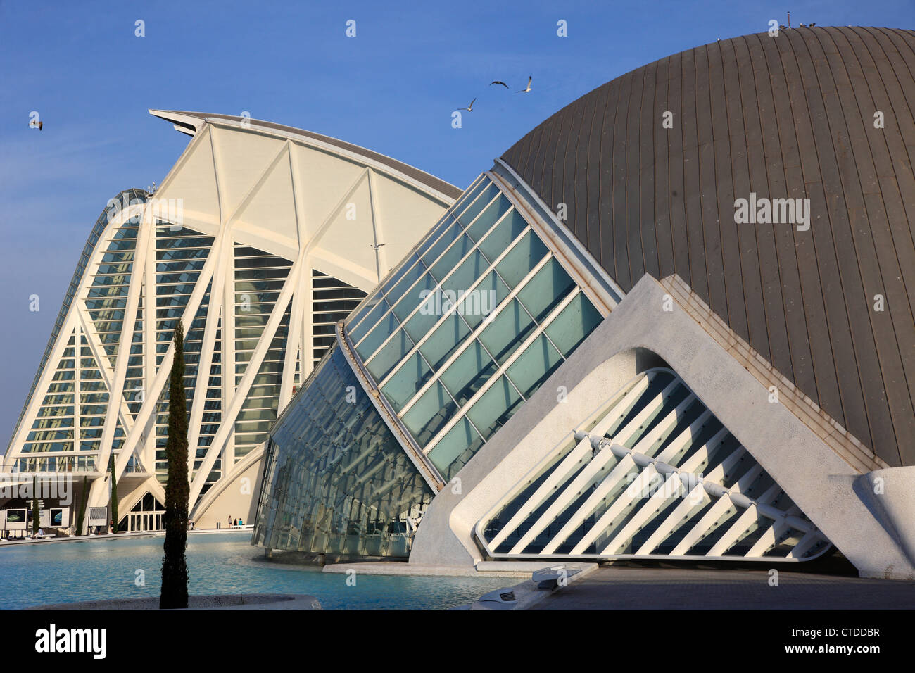 Hemisferic city arts sciences architect hi-res stock photography and ...