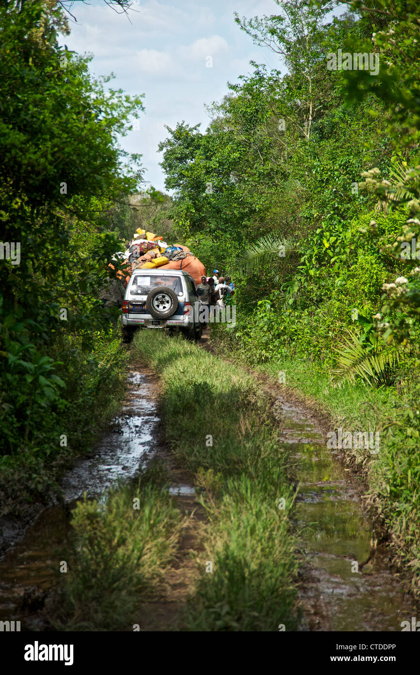 FARDC, Mushake, Democratic Republic of Congo Stock Photo - Alamy