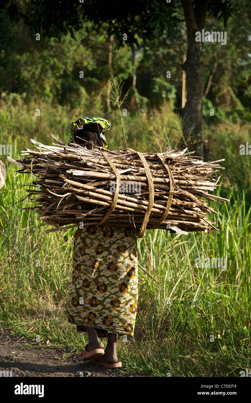 FARDC, Mushake, Democratic Republic of Congo Stock Photo - Alamy