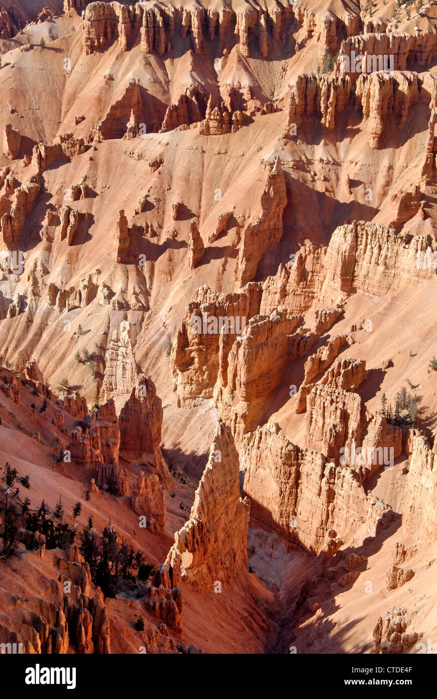 Cedar Breaks National Monument near Cedar City, Utah Stock Photo - Alamy