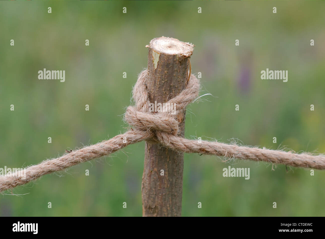 Knot column hi-res stock photography and images - Alamy