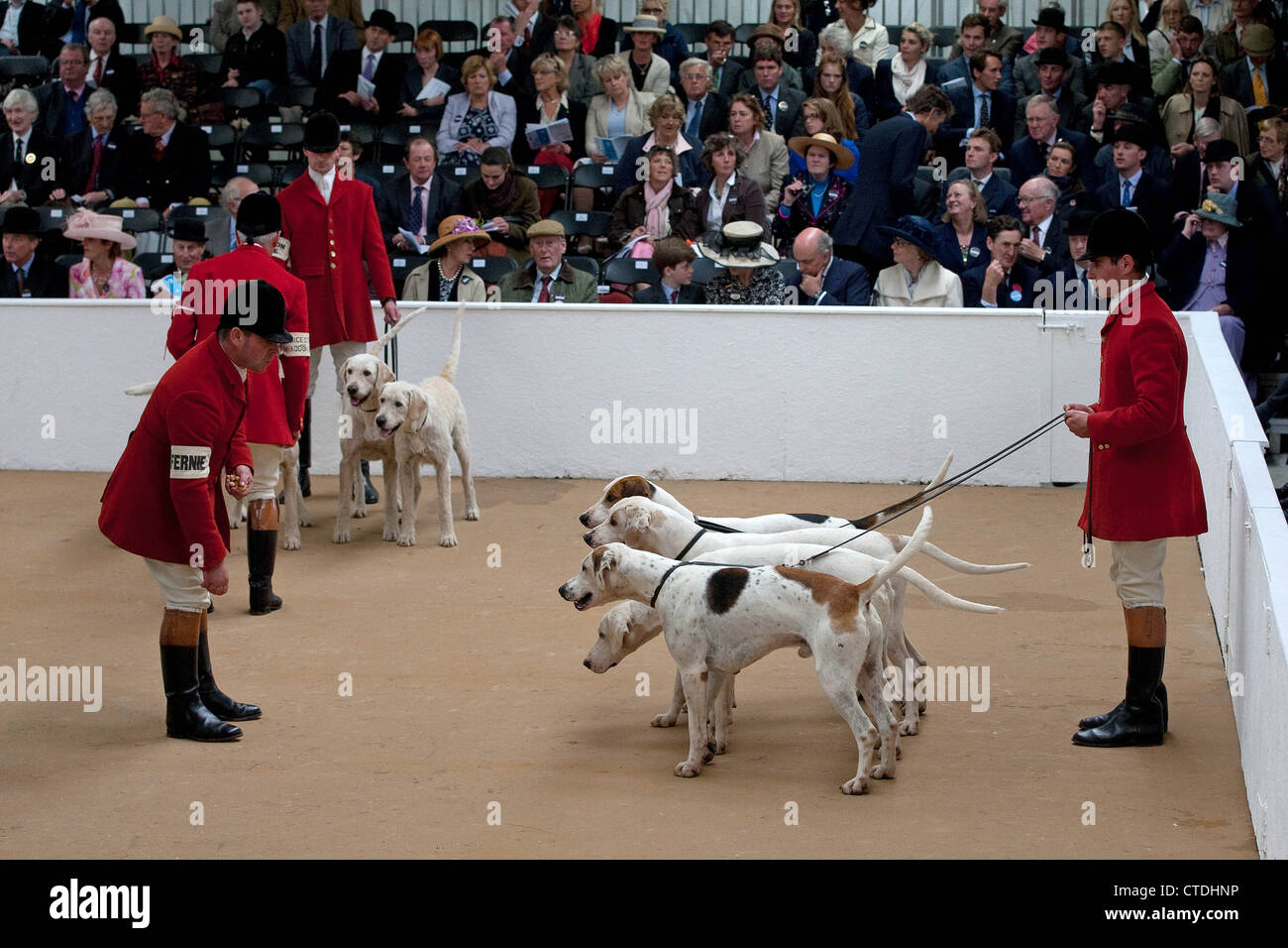 Fox hunts from across the country show hounds at the 2012 Royal Fox ...