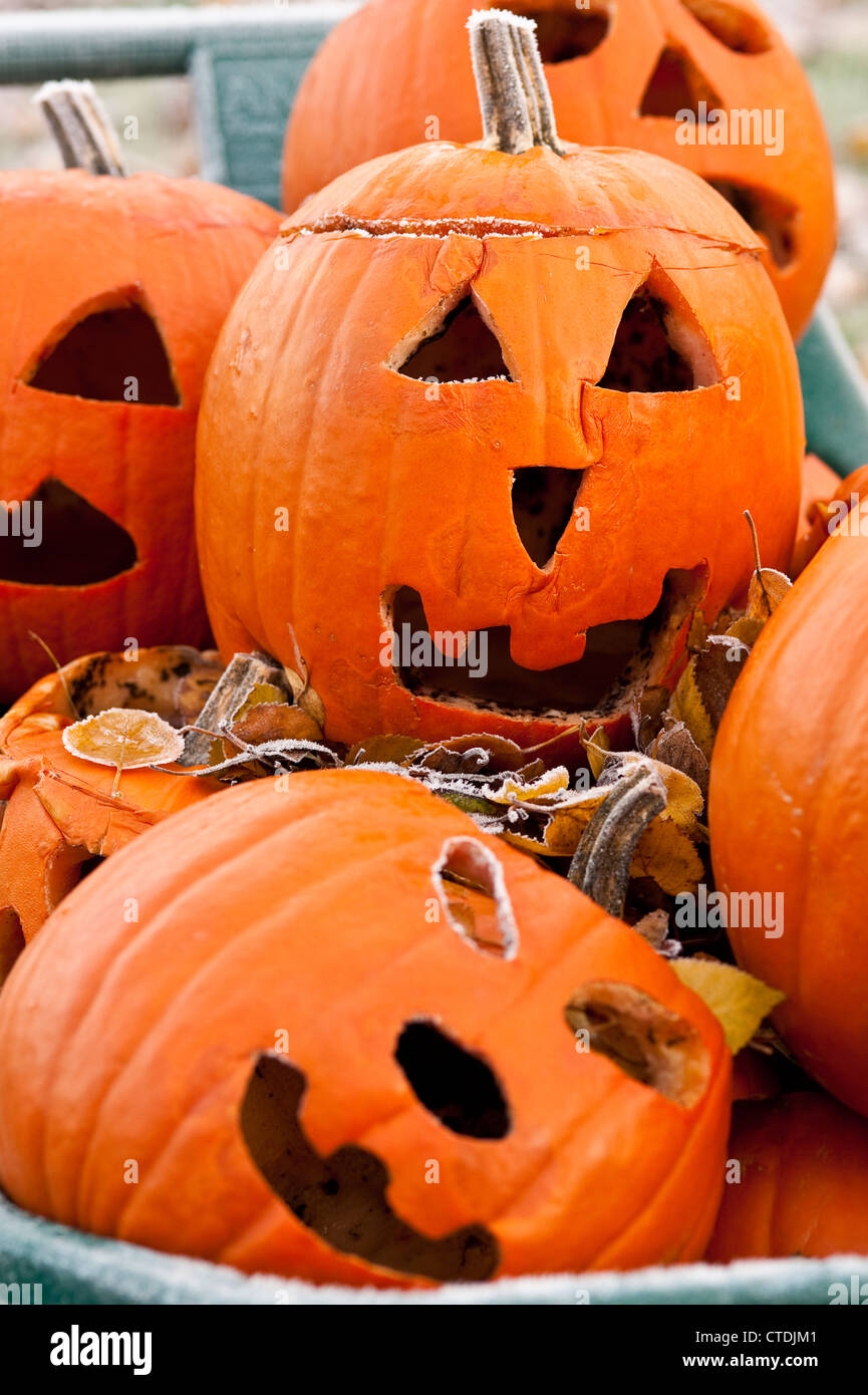 Decaying pumpkins hi-res stock photography and images - Alamy
