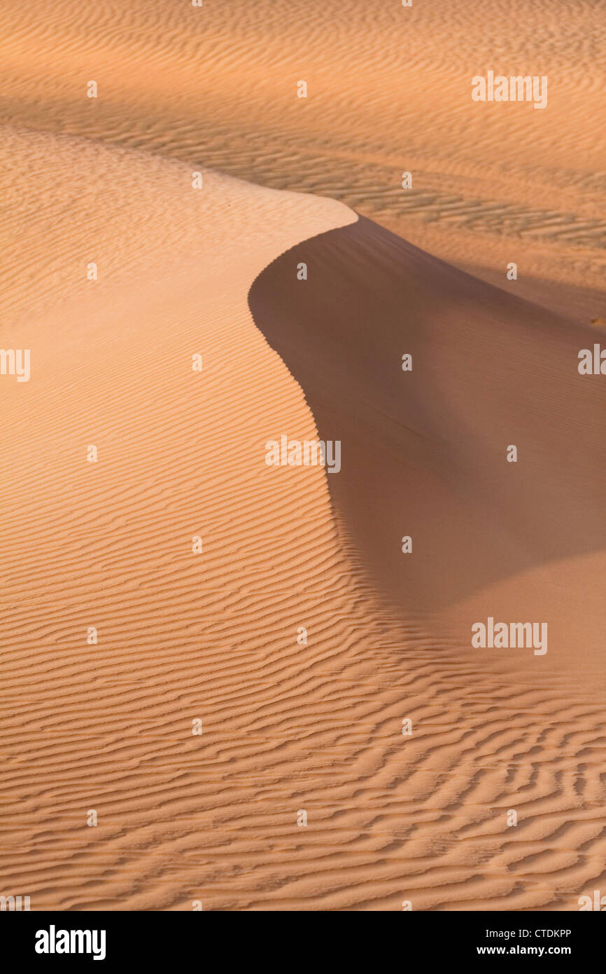 Desert sand dune, Dubai, United Arab Emirates Stock Photo - Alamy