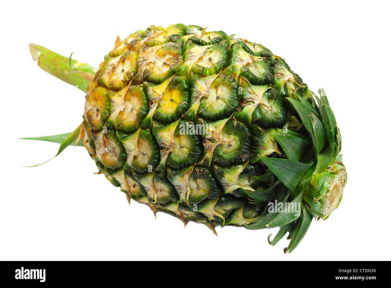 Pineapple sugar apple hi-res stock photography and images - Alamy