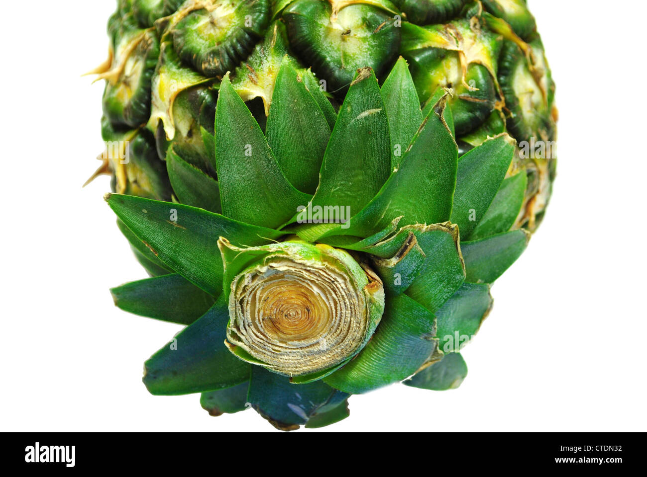 Pineapple sugar apple hi-res stock photography and images - Alamy