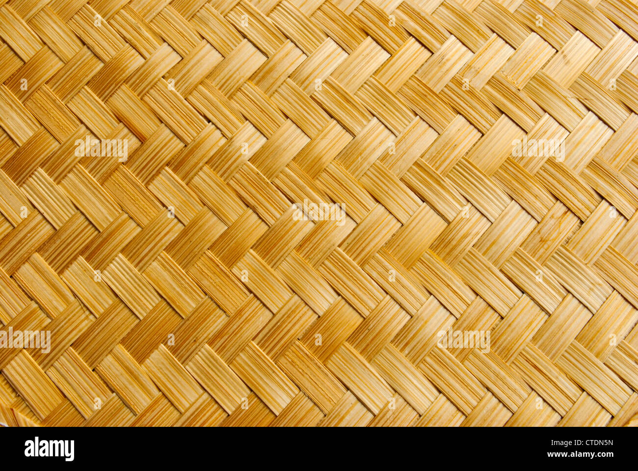Bamboo patch hi-res stock photography and images - Alamy