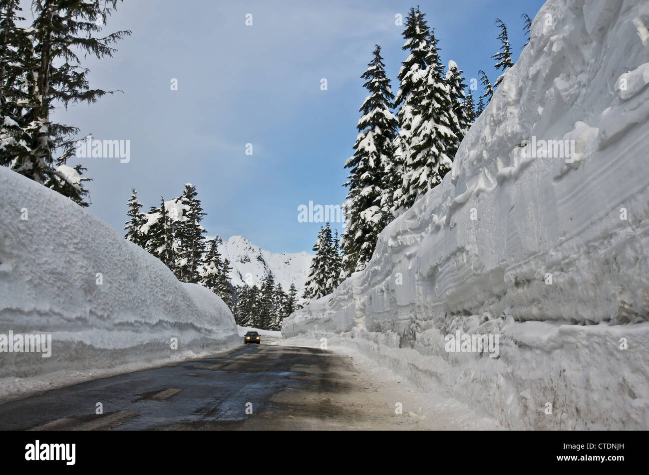A high wall of cleared snow lines the Mt. Baker Highway in Washington ...