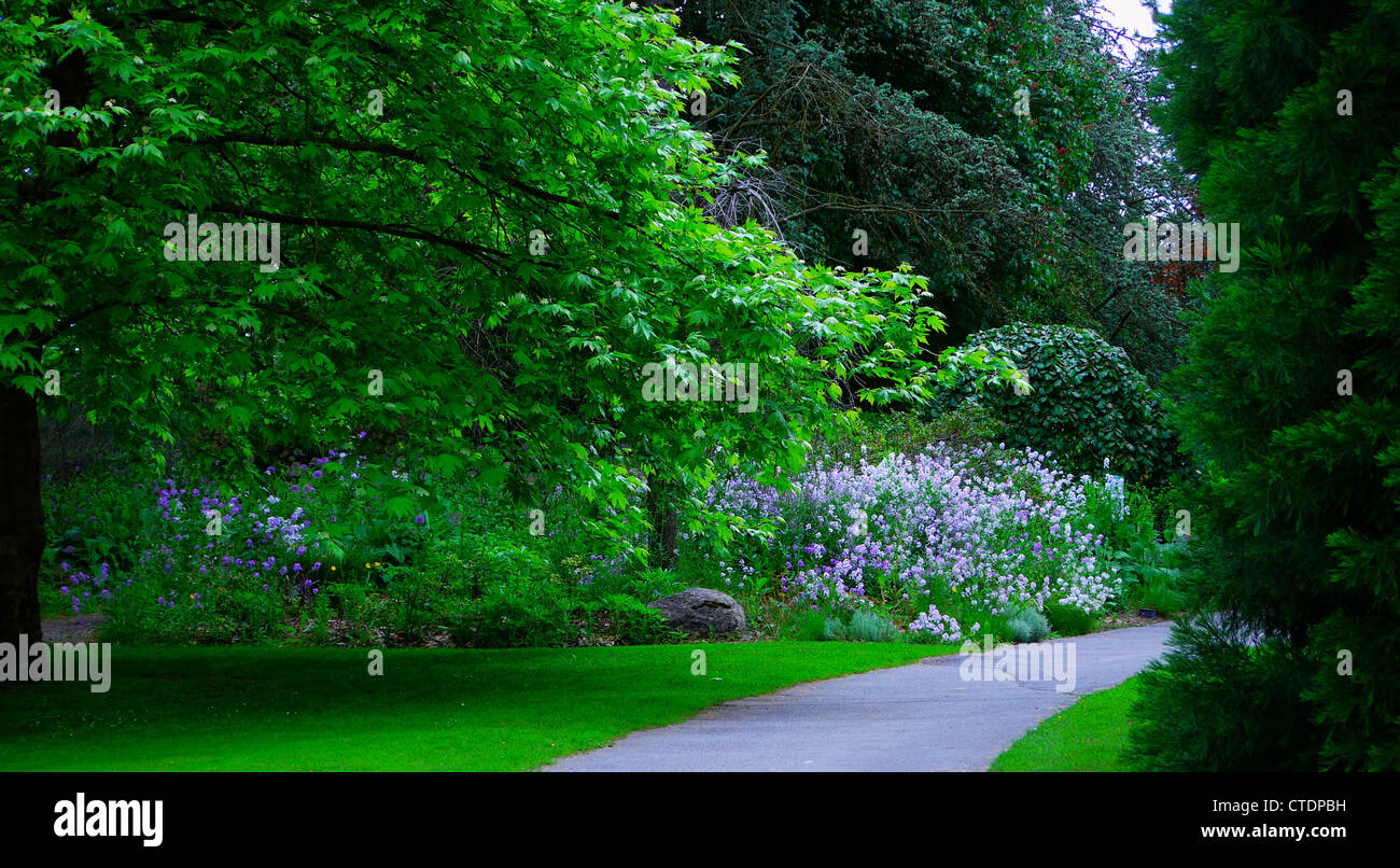 Down the garden path Stock Photo - Alamy