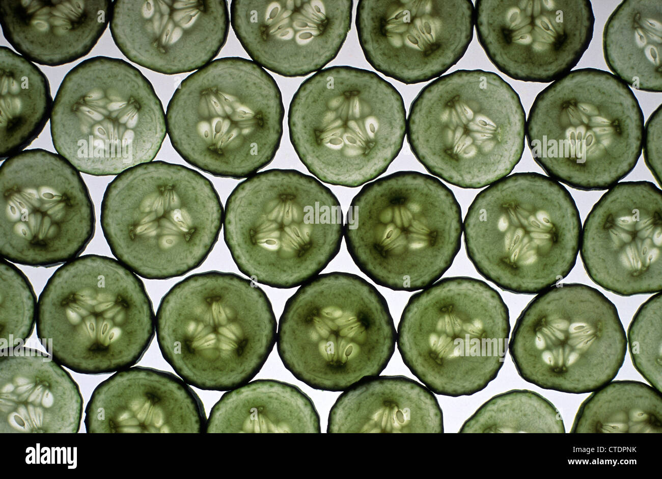 Cucumber cross sections, in patterns, backlit Stock Photo - Alamy
