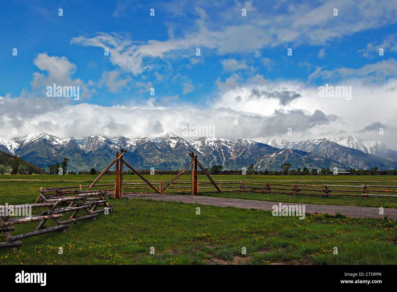 Spring Gulch, Grand Tetons National Park Stock Photo - Alamy