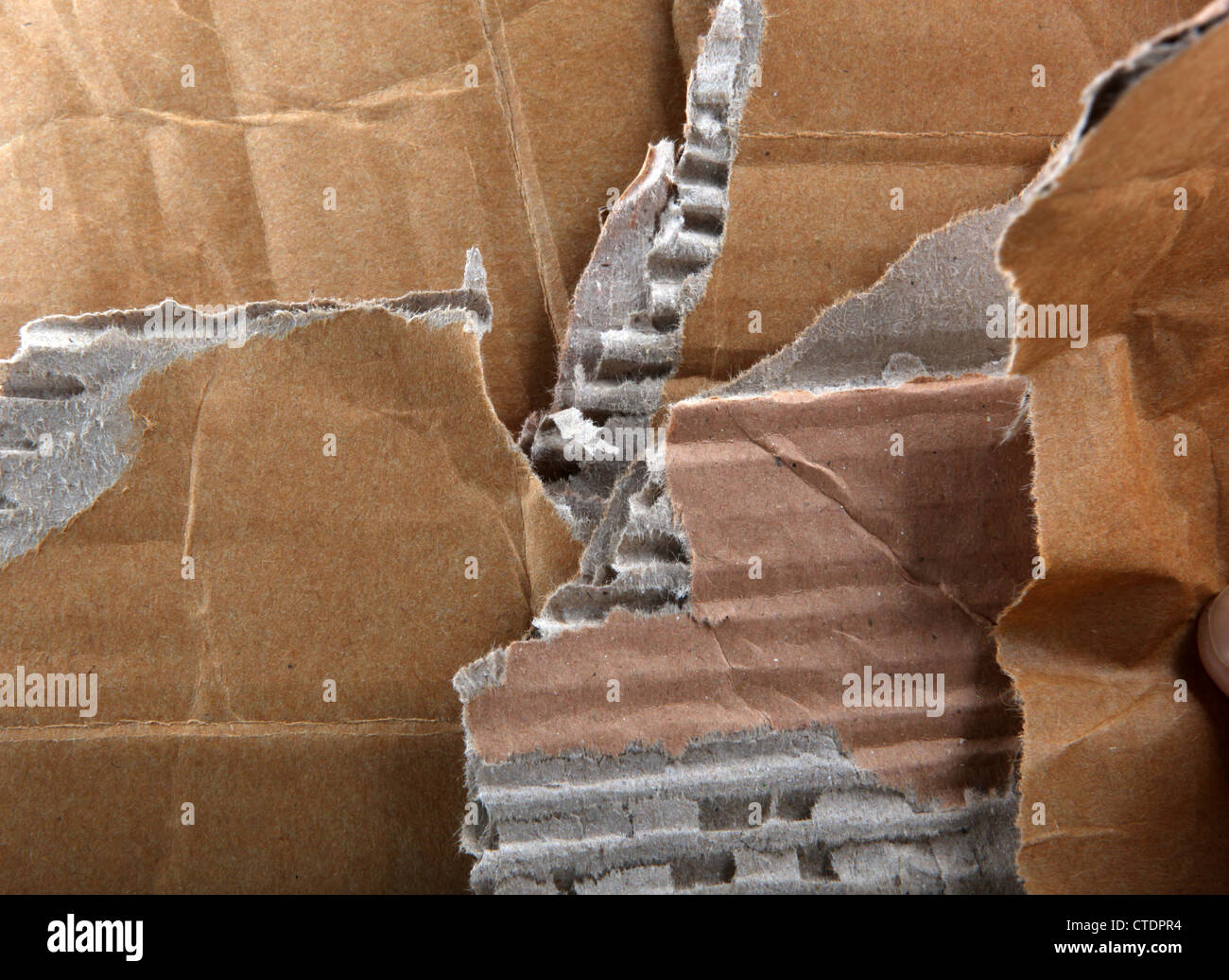 Paper photographs hi-res stock photography and images - Alamy