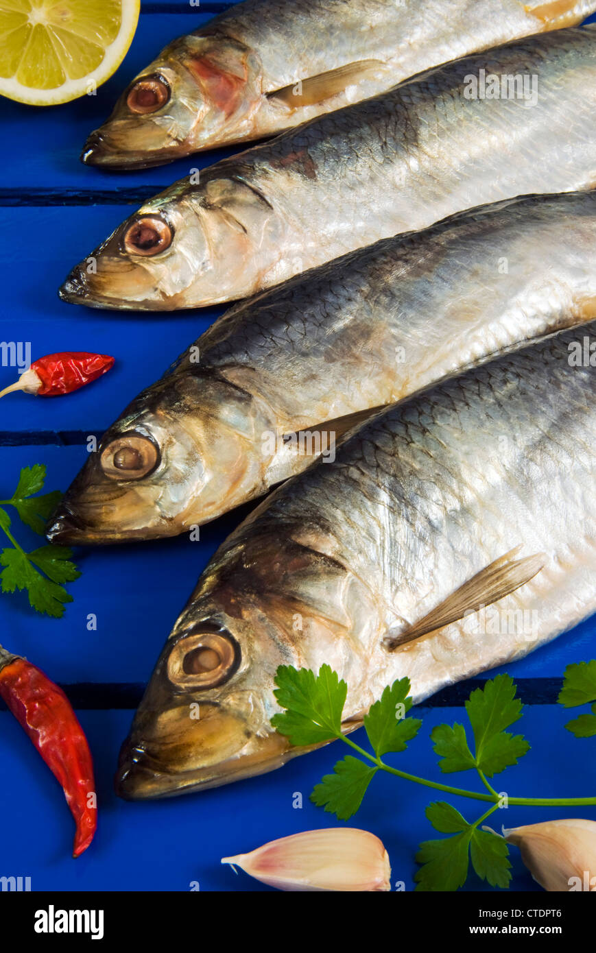 Clupea harengus hi-res stock photography and images - Alamy