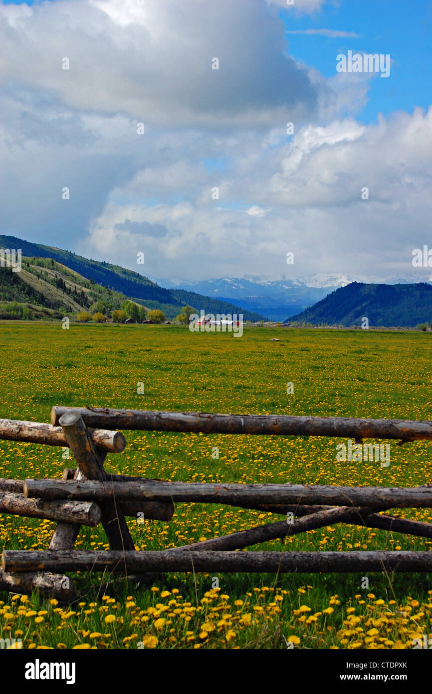 Spring gulch hi-res stock photography and images - Alamy