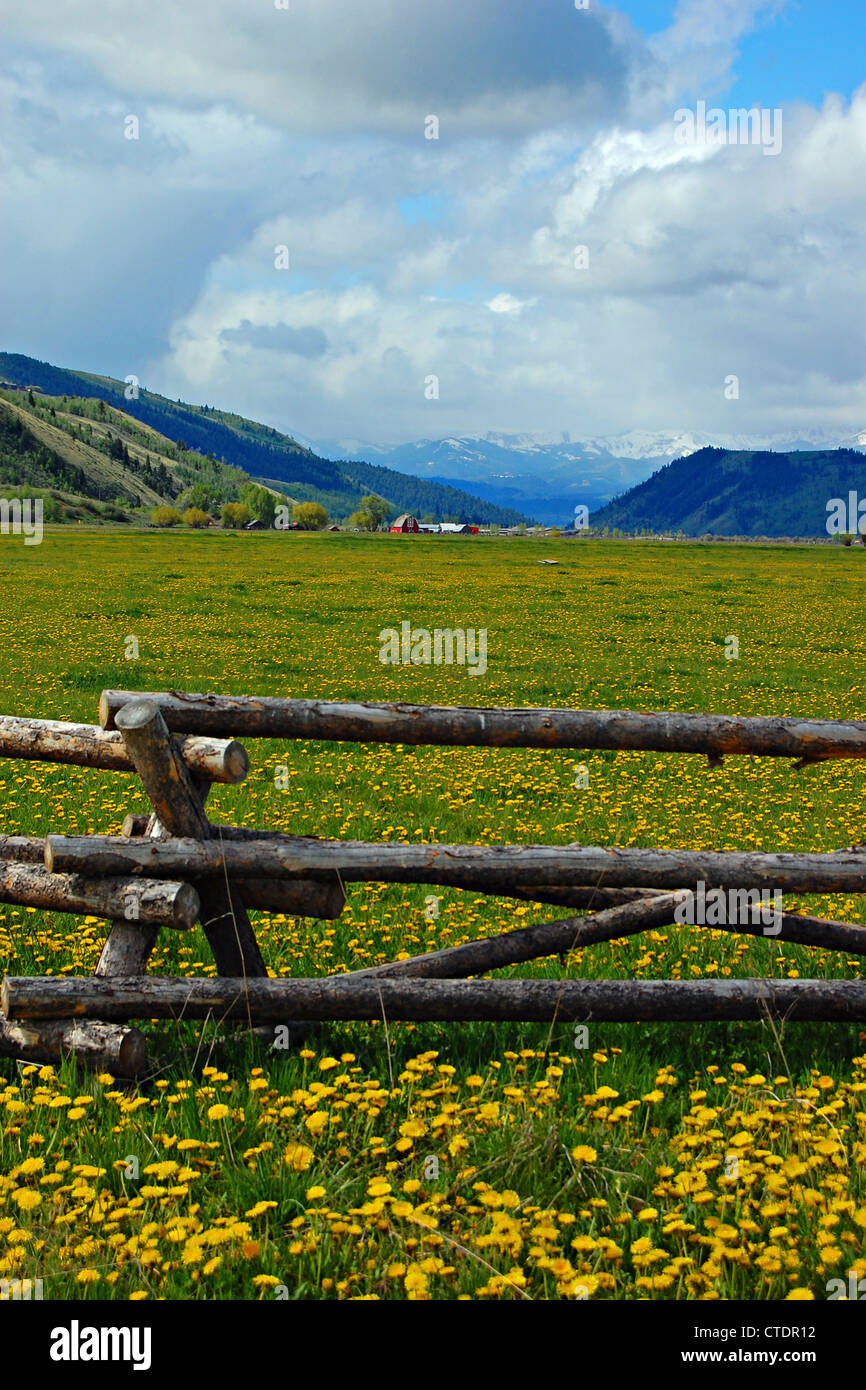 Spring gulch hi-res stock photography and images - Alamy