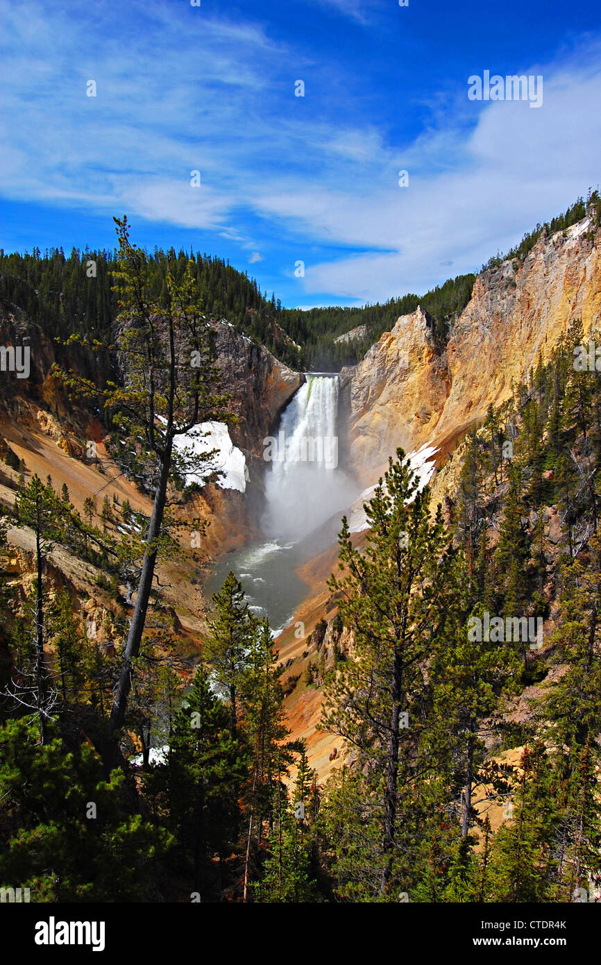 Lower Yellowstone Falls, Yellowstone National Park Stock Photo - Alamy