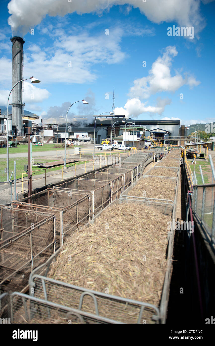 Central australian ecology hi-res stock photography and images - Alamy