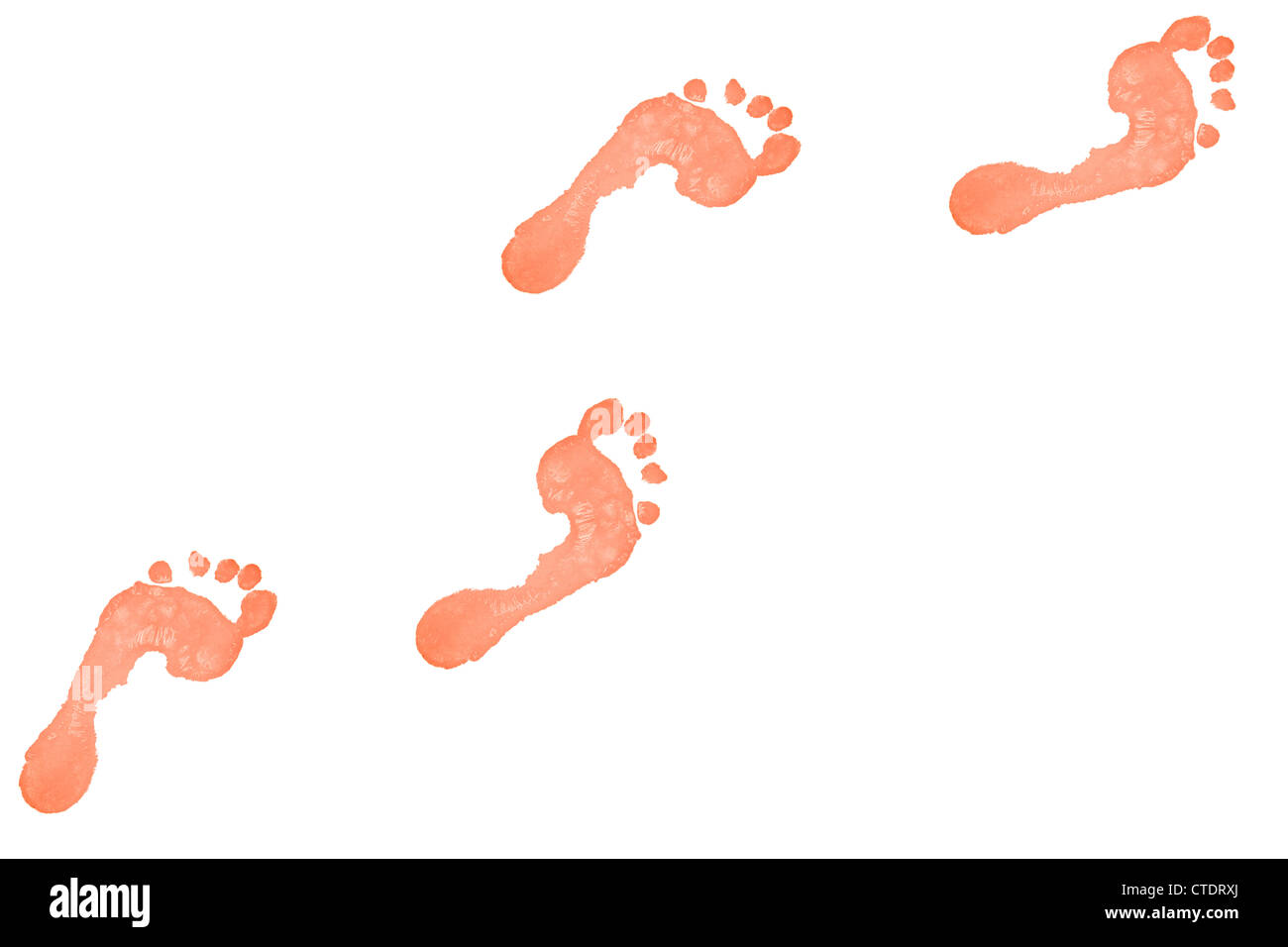 Four toes each foot hi-res stock photography and images - Alamy