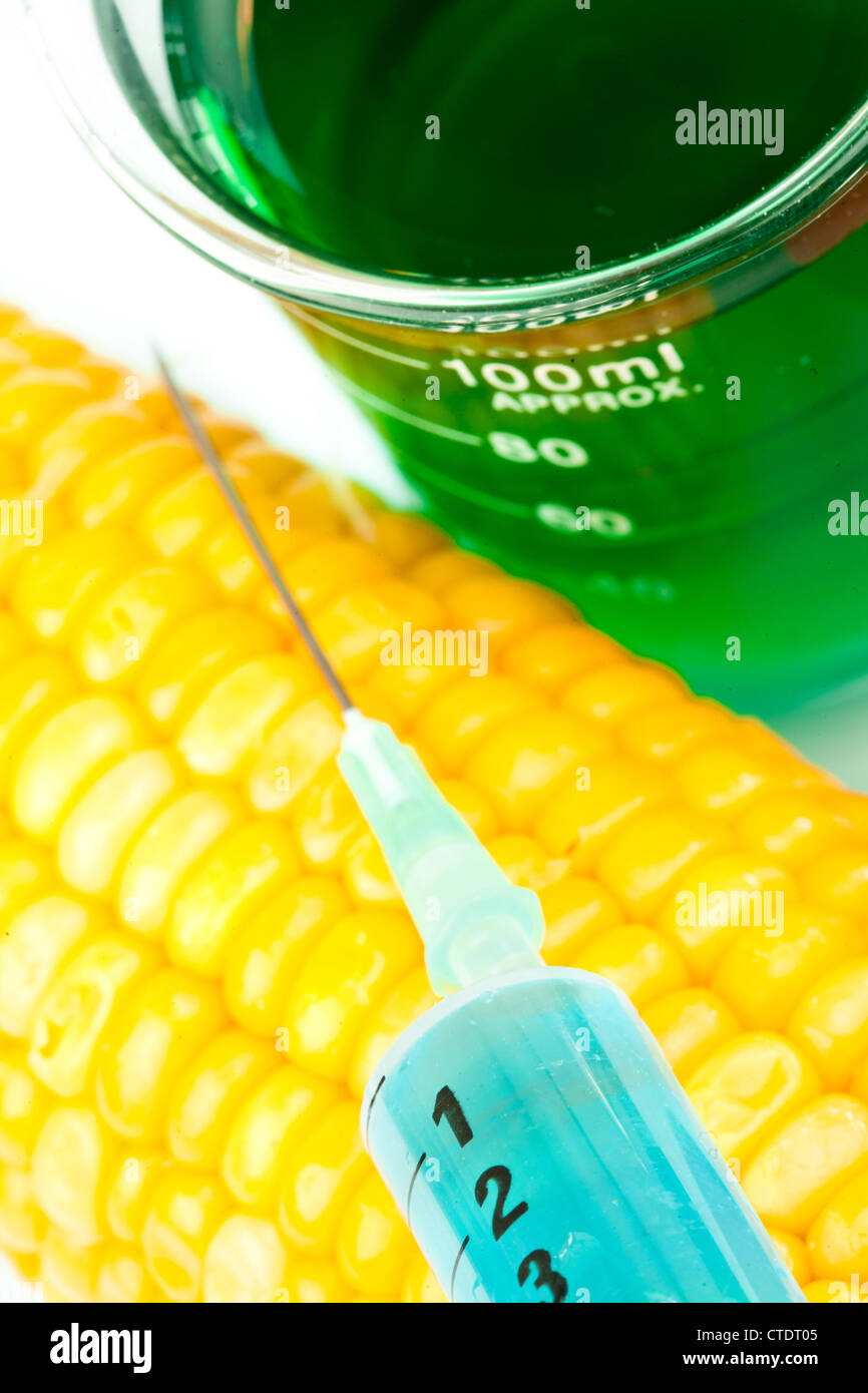 Gmo corn injection hi-res stock photography and images - Alamy