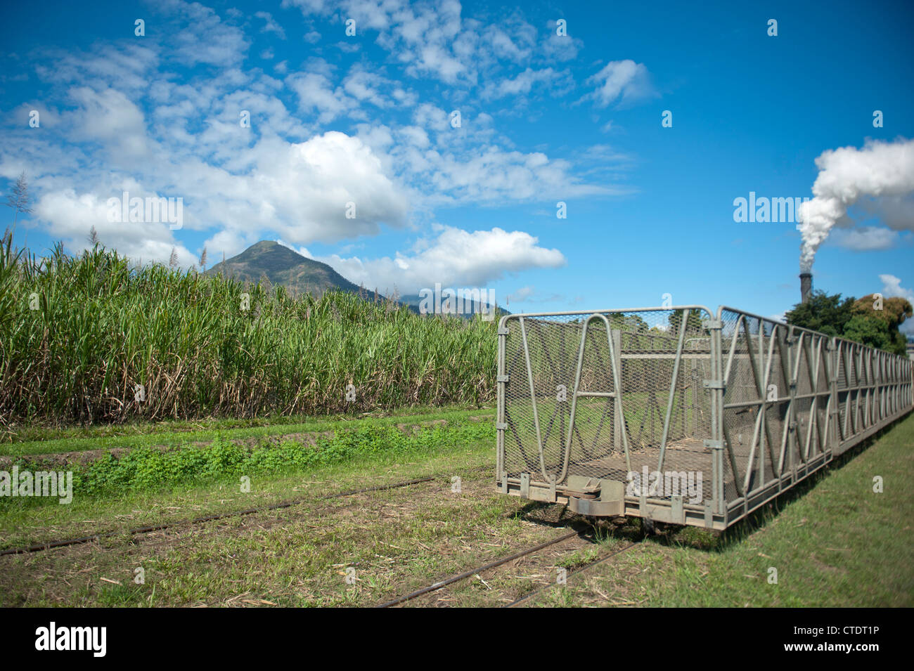 Harvested sugar cane in transport bins at Gordonvale near Cairns in ...
