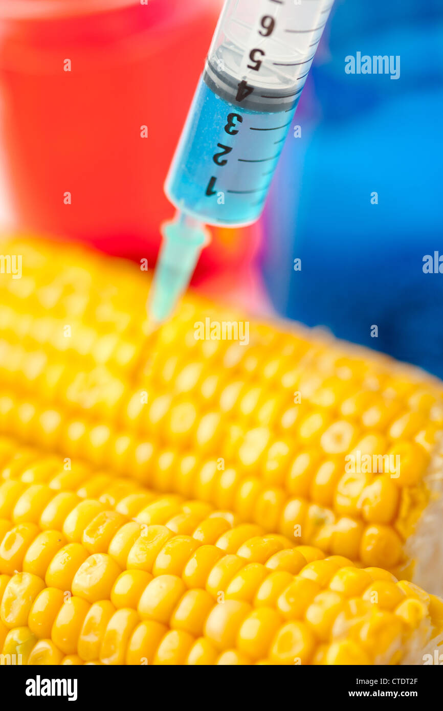 Gmo corn injection hi-res stock photography and images - Alamy