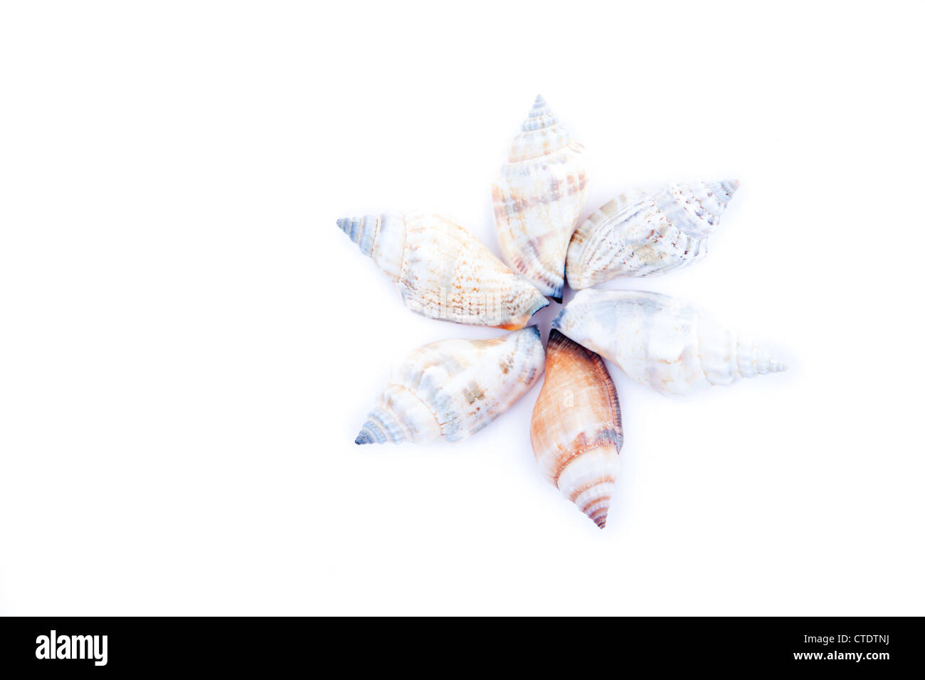 Forming a circle hi-res stock photography and images - Alamy