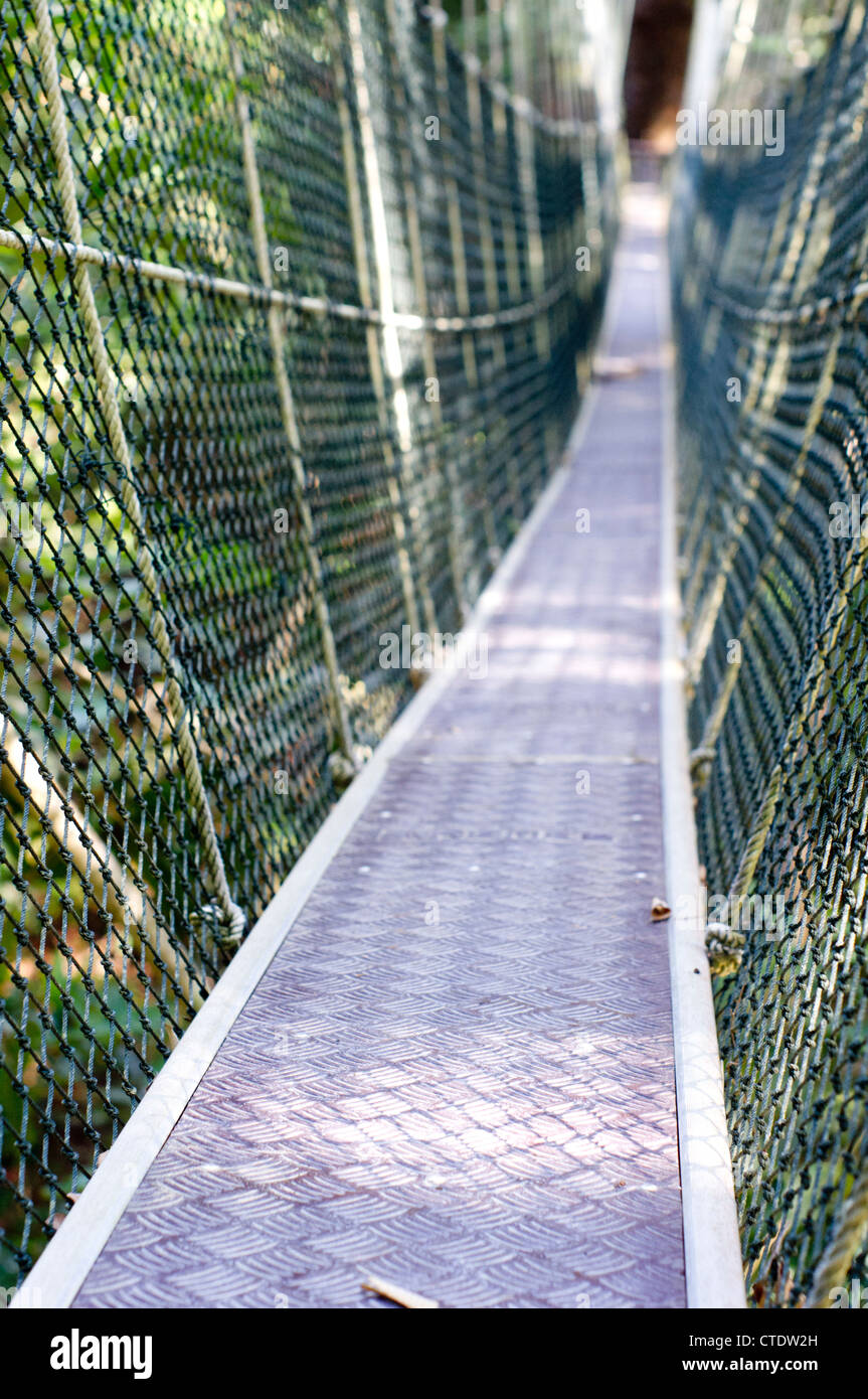 Canopy tree walk bridge hi-res stock photography and images - Alamy