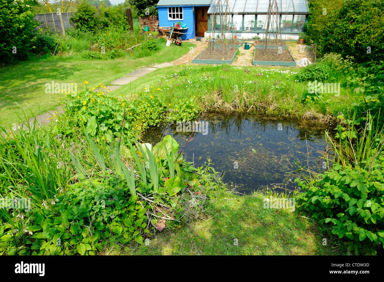 Small Pond Vegetable Garden How To Build A Small Pond For The Garden