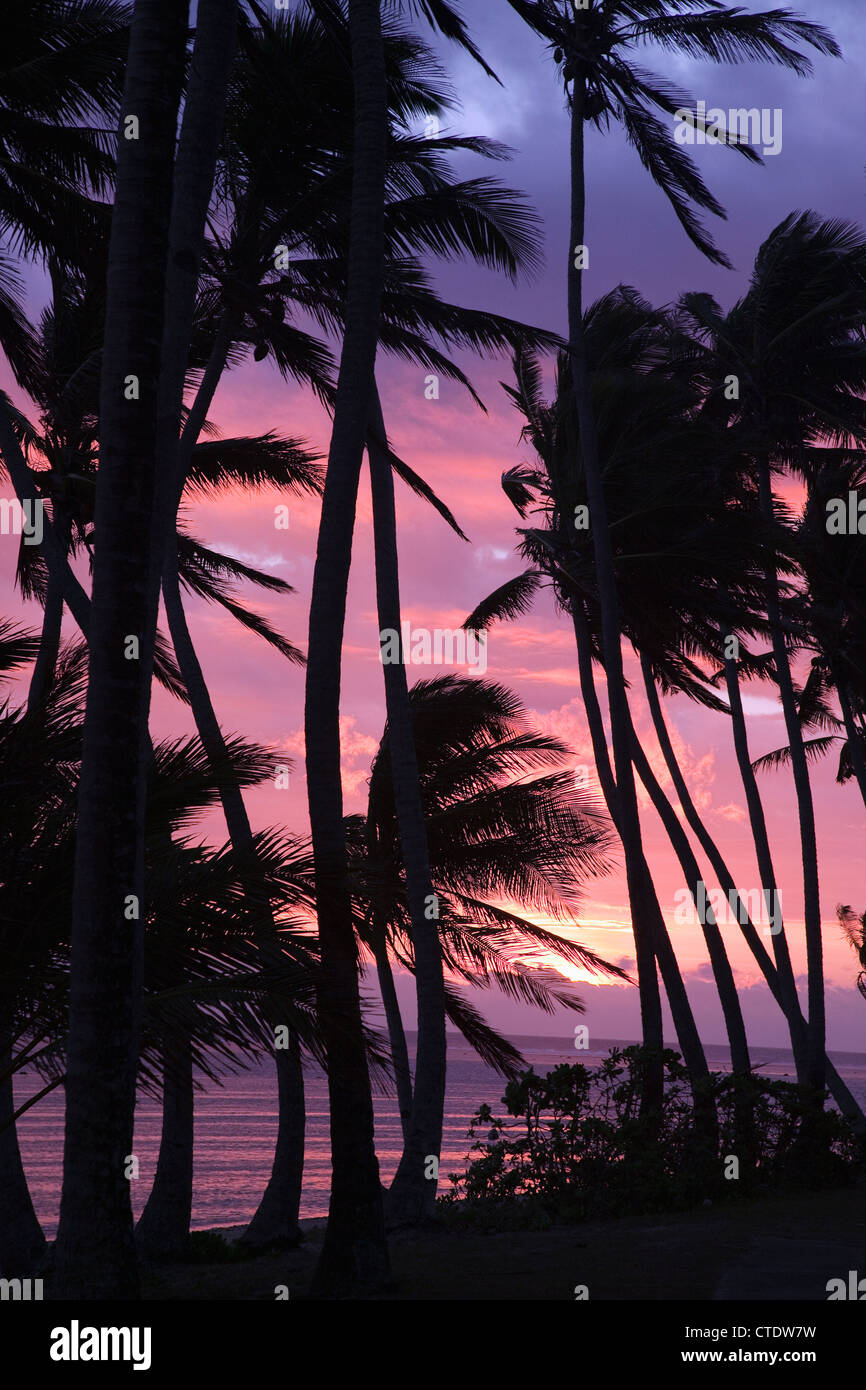 Palm trees sunset tropical hi-res stock photography and images - Alamy