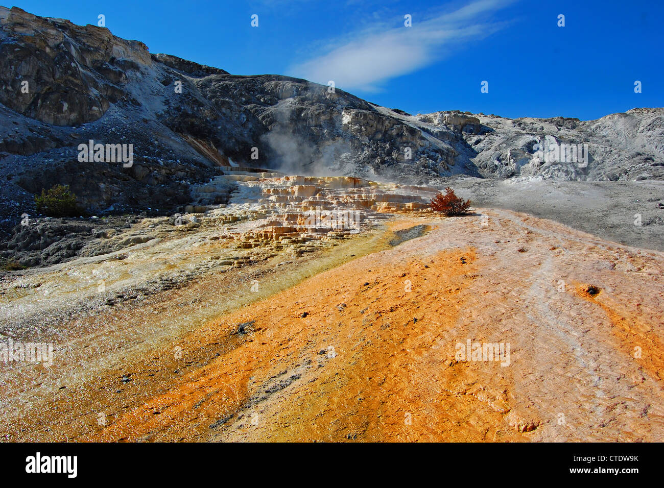 Mound Spring, Mammoth Hot Springs, Yellowstone National Park Stock ...