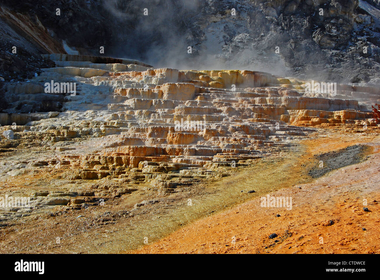 Mound Spring, Mammoth Hot Springs, Yellowstone National Park Stock ...