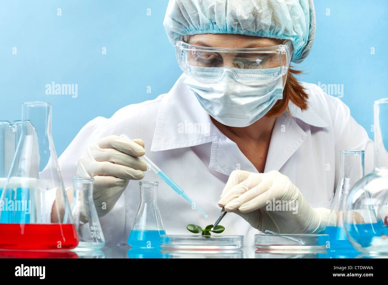 Female researcher busy studying sapling in lab conditions Stock Photo ...