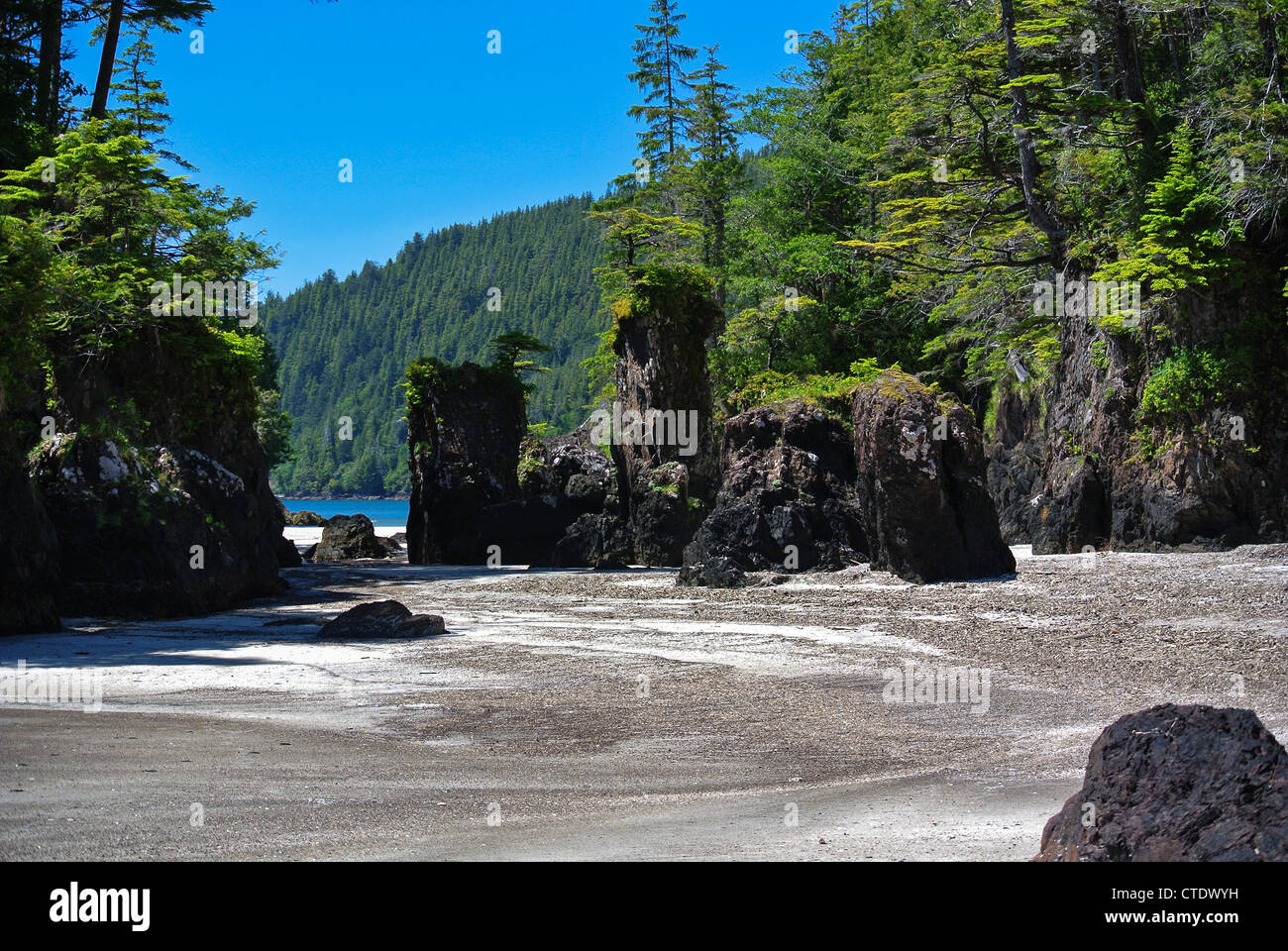 Cape Scott Stock Photos & Cape Scott Stock Images - Alamy