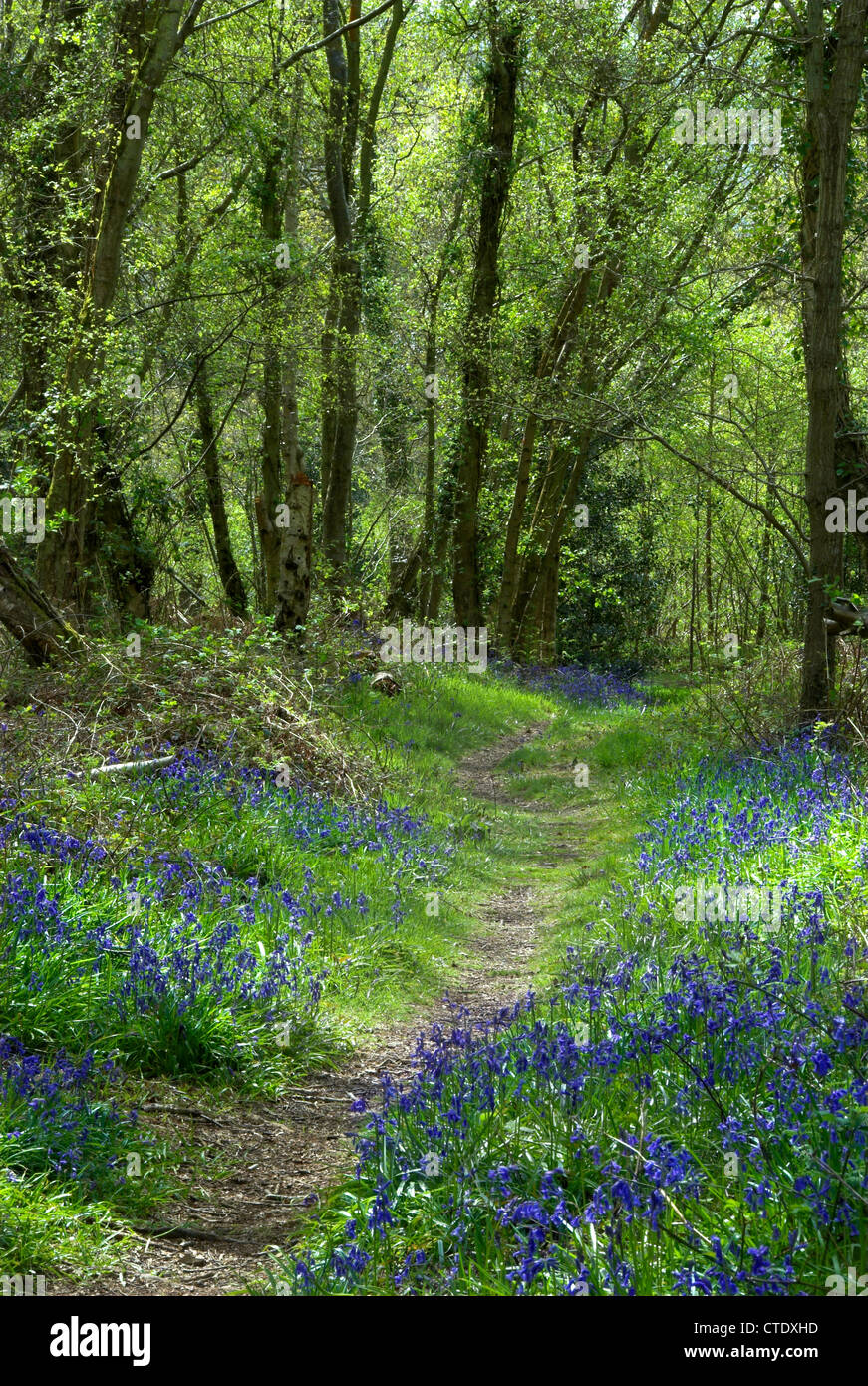 2008 track hi-res stock photography and images - Alamy